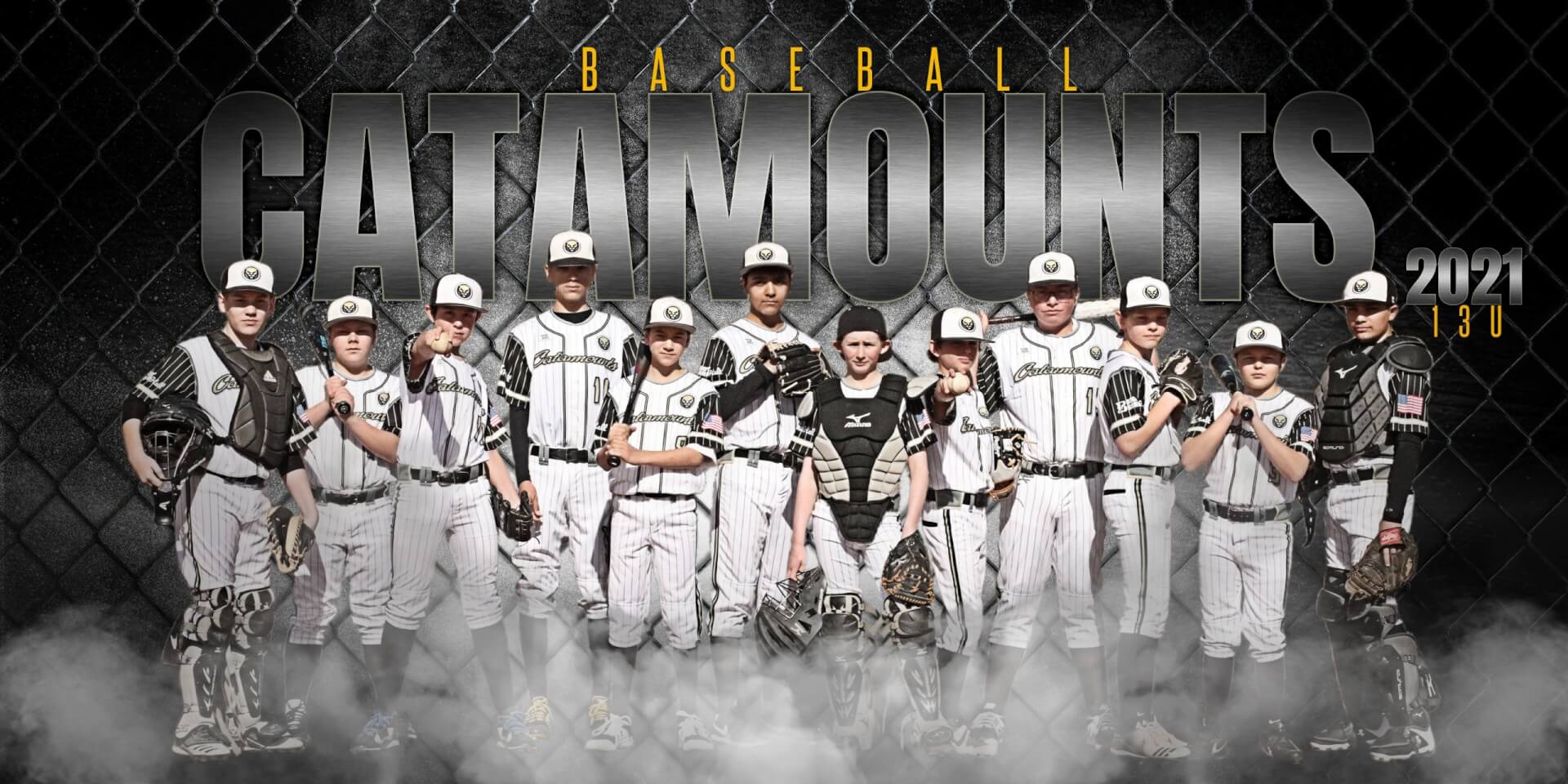 Catamount 2026 14U Looking for a couple players - Catamounts Baseball